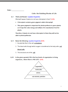 worksheet cells:the building blocks of life