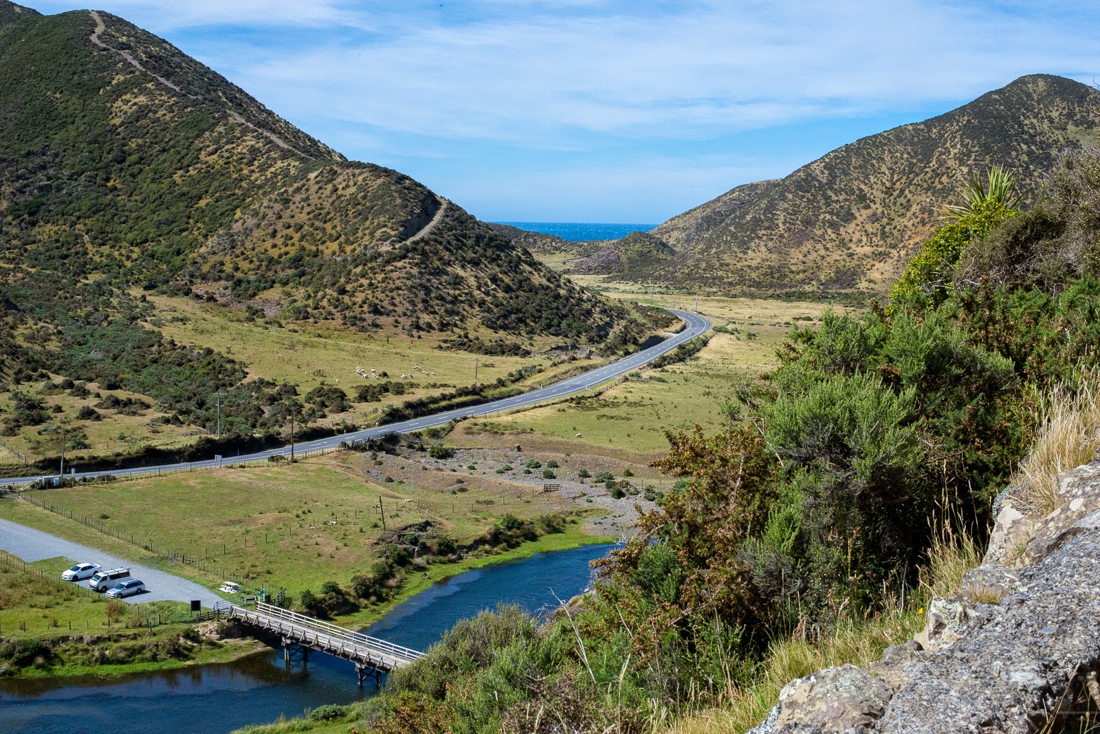 NZ Must Do: Adventures in Wellington - the walk to Baring Head ...