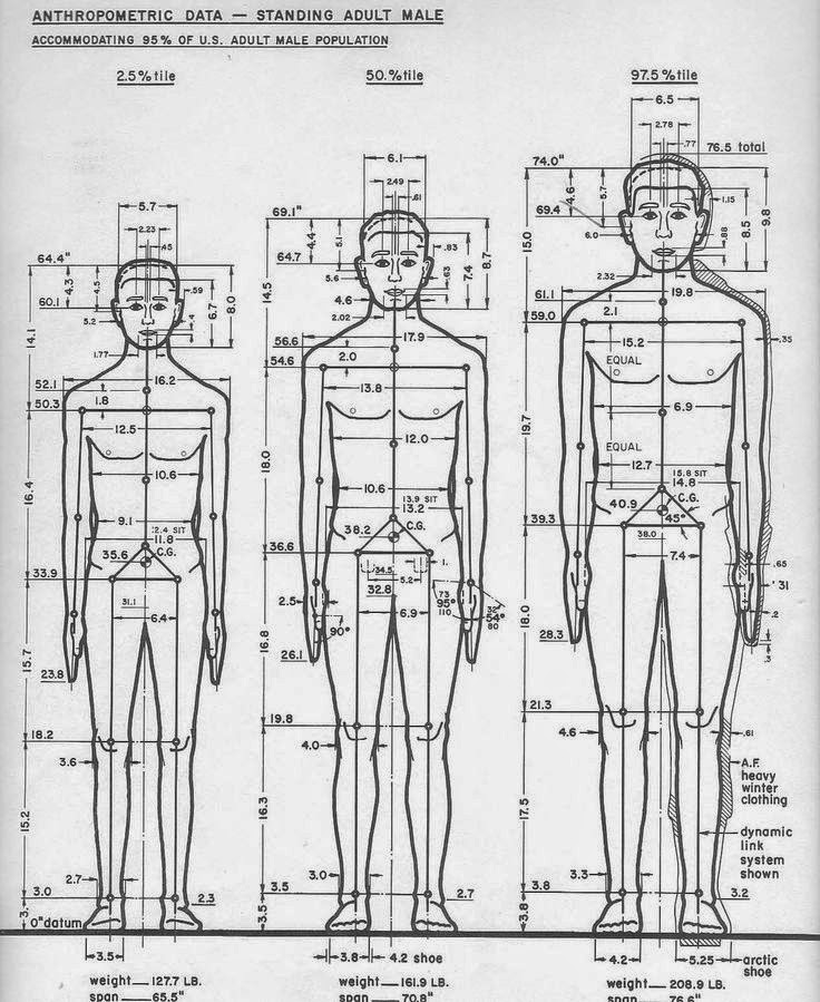 Diedrica: THE MEASURE OF MAN