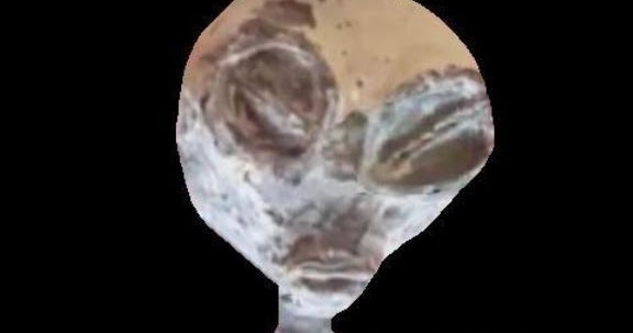 EL LADO OSCURO: MENUDO DESCUBRIMIENTO: ¿Un ‘extraterrestre’ momificado ...