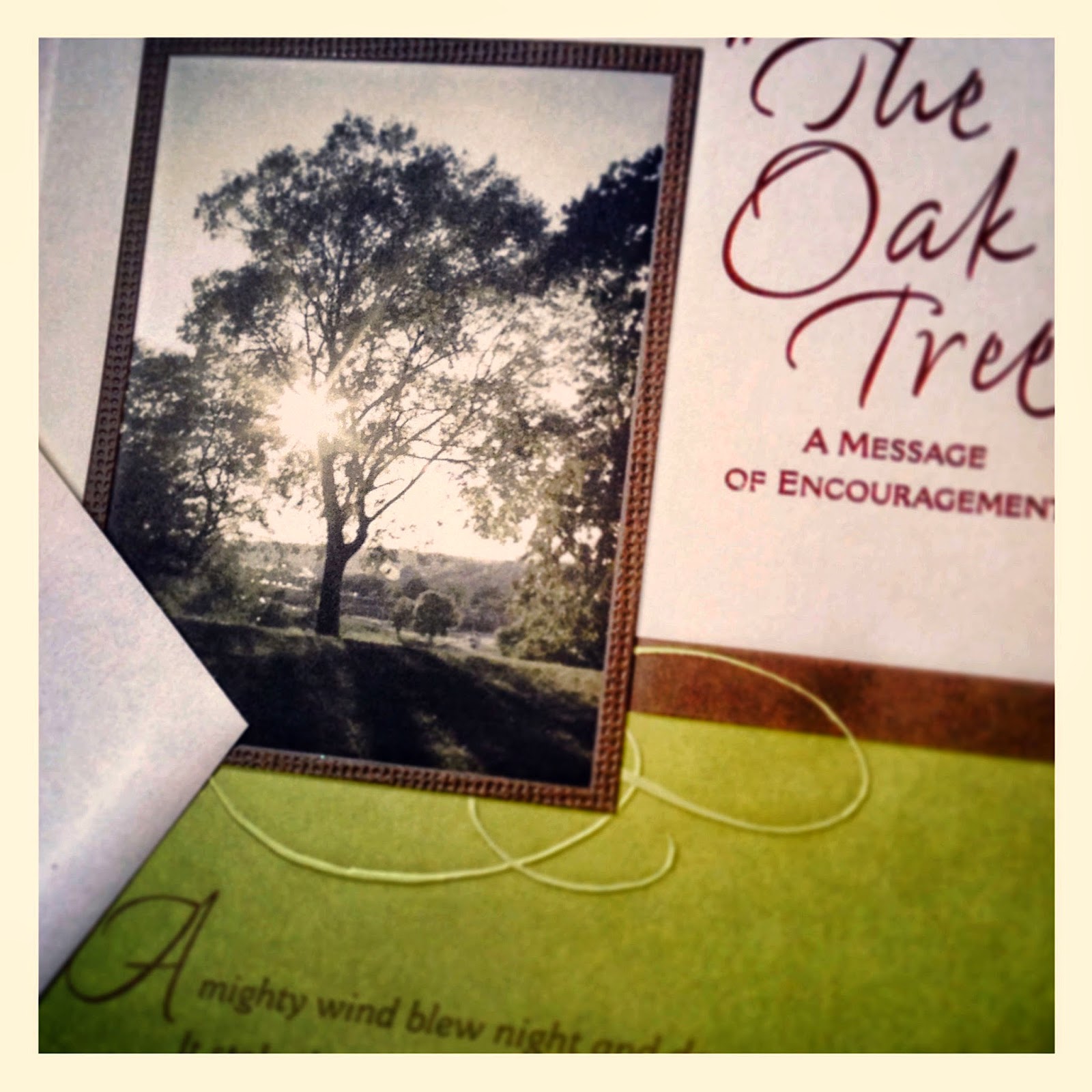 Seeking Serendipity: The reinvention of me