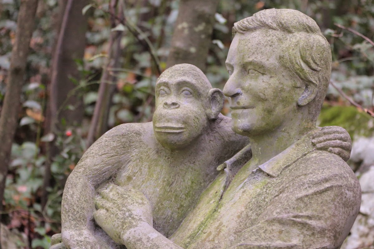 Blog sobre fotografía y viajes del fotógrafo Iñigo Escalante: Planes ...