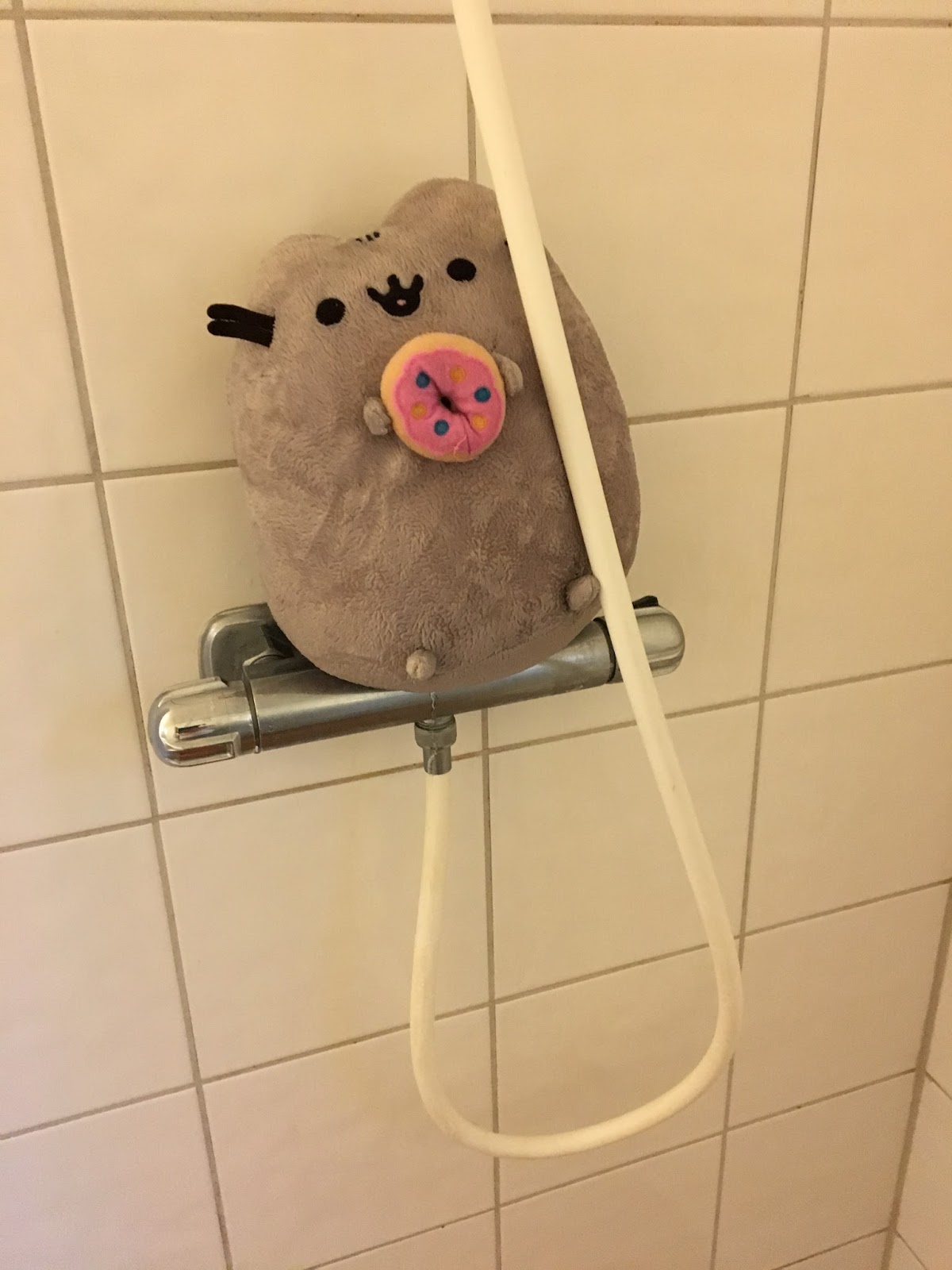 Longs in Sweden: How to Wash your Pusheen