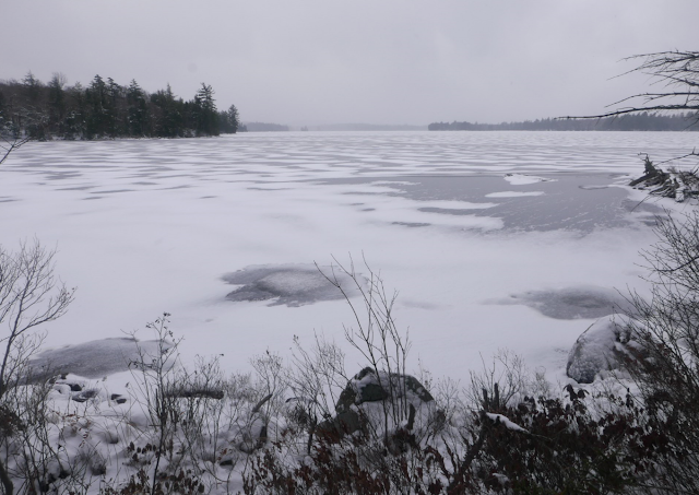 A Little Wild: Little Tupper Lake; The South Shore Horse Trail