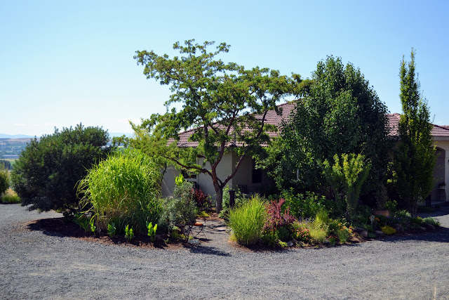 The Outlaw Gardener: The Garden of Rick Main and Kim Brewer