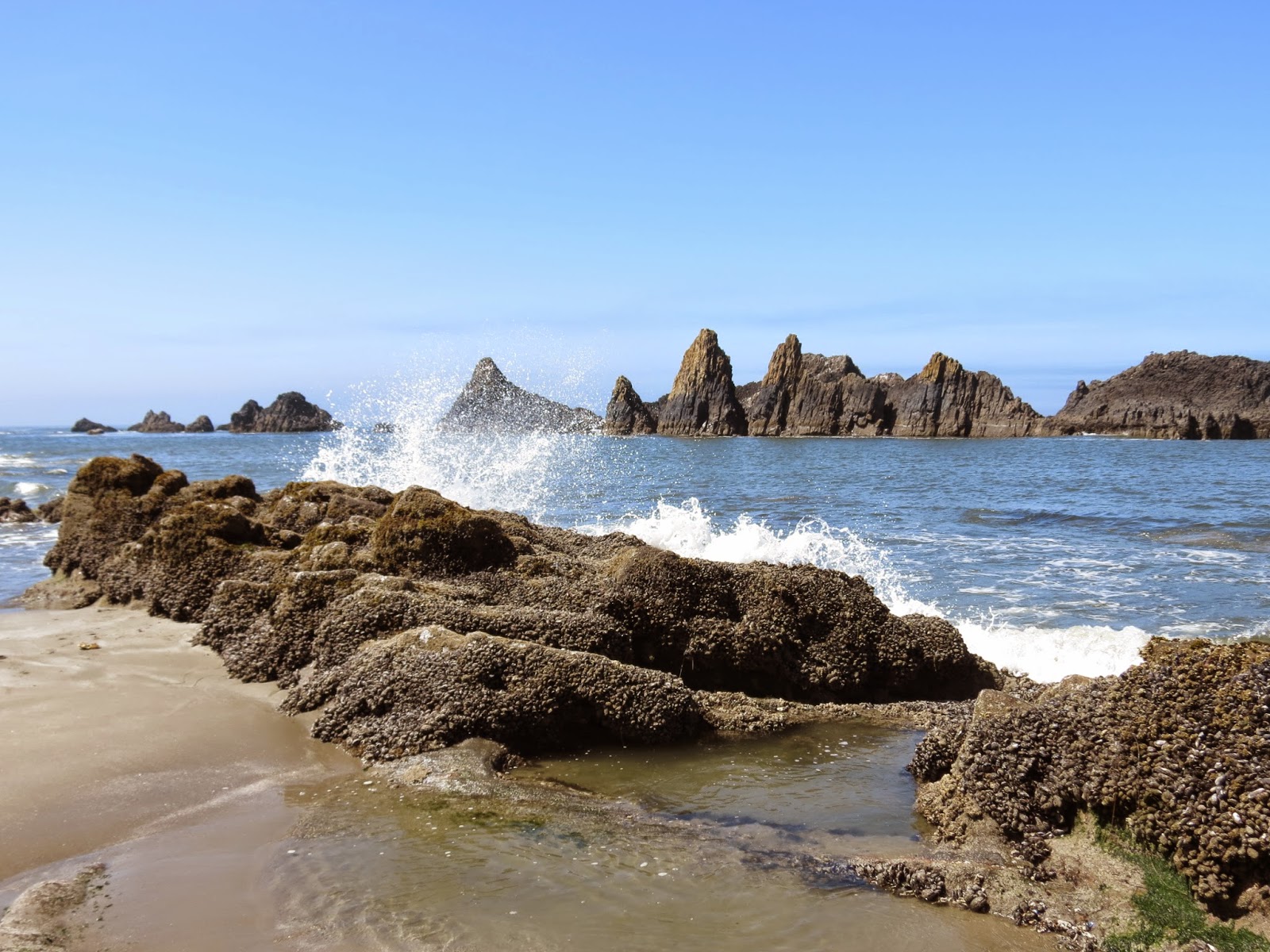 A trip to the Oregon coast