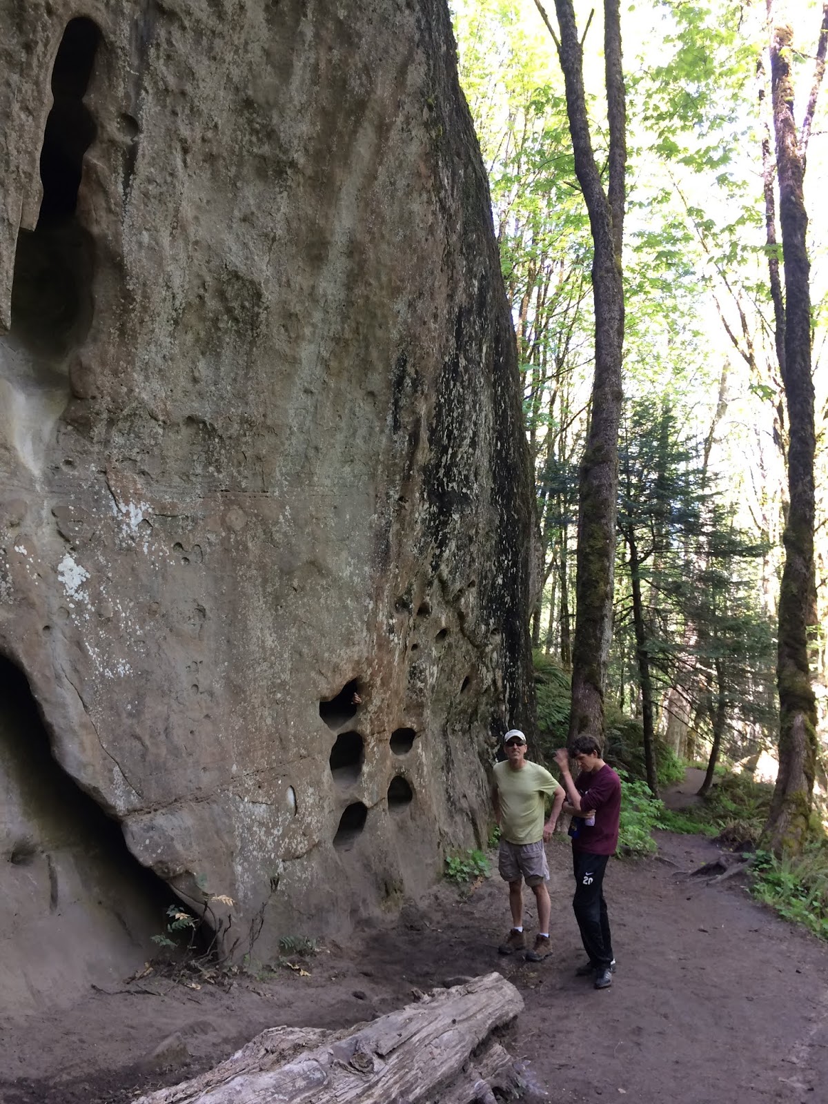 An Adventure: Rock Trail Hike - Parks Academe
