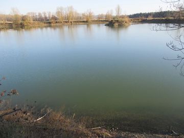 Sud-ouest Toulousain Randonnées: LONGAGES : Lac de la Linde
