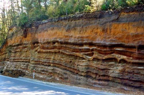 Introduction Blog: Volcanic soil of New Zealand and erosion