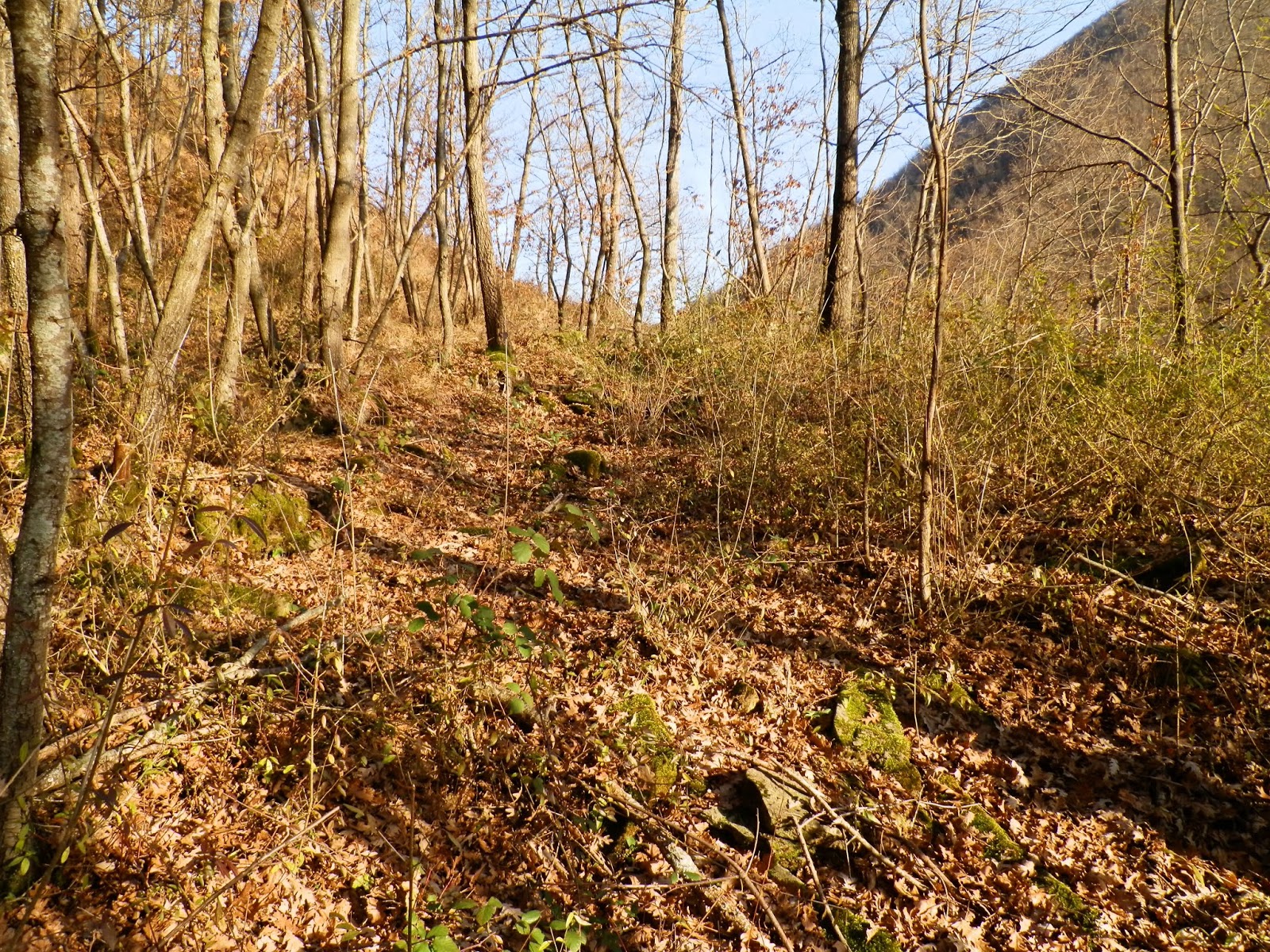 VER SACRUM - Ricerche di storia, ambiente e cultura locale: La chiesa ...