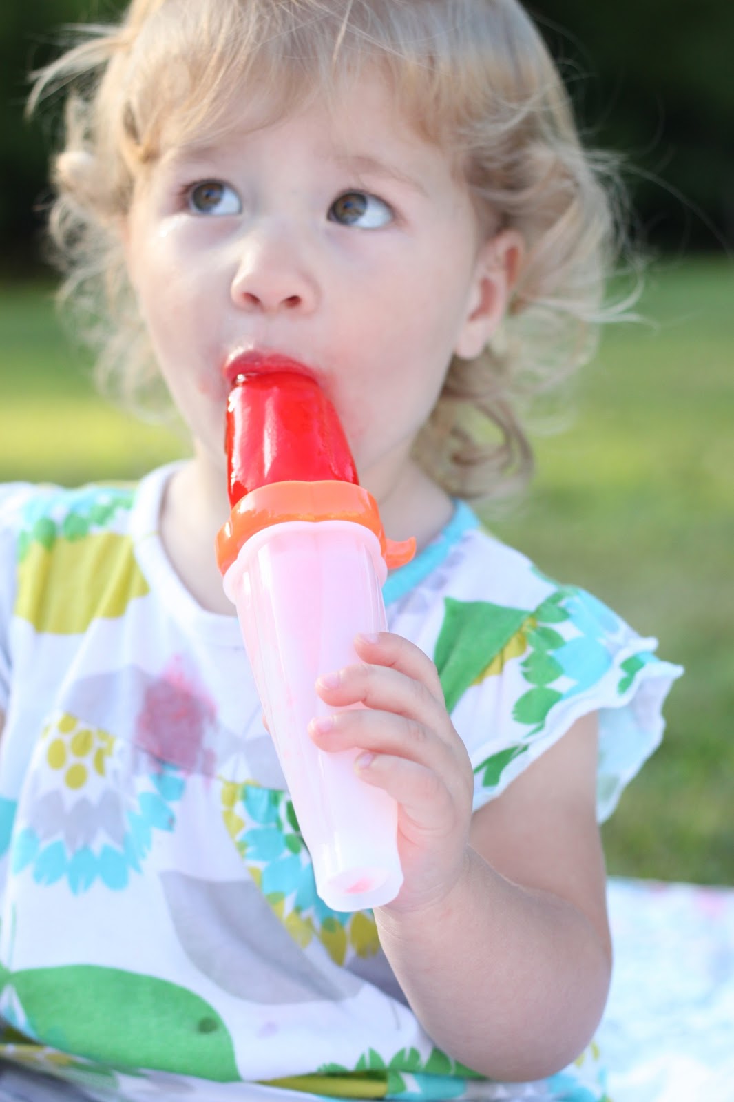Homemade Popsicles / Handmade Frenzy