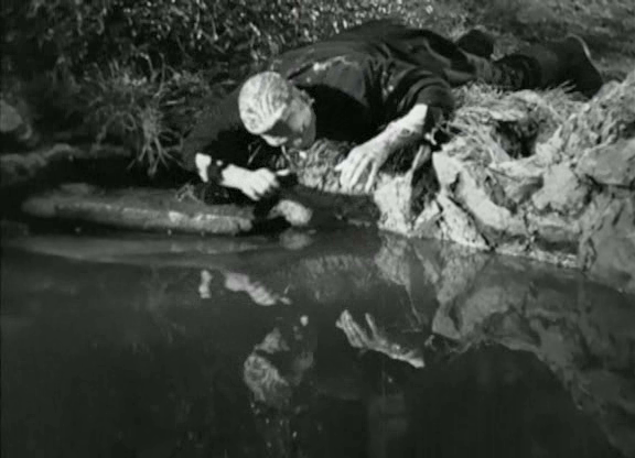 CCS 202 Horror & its sub-genres: The Bride of Frankenstein: A Tragedy