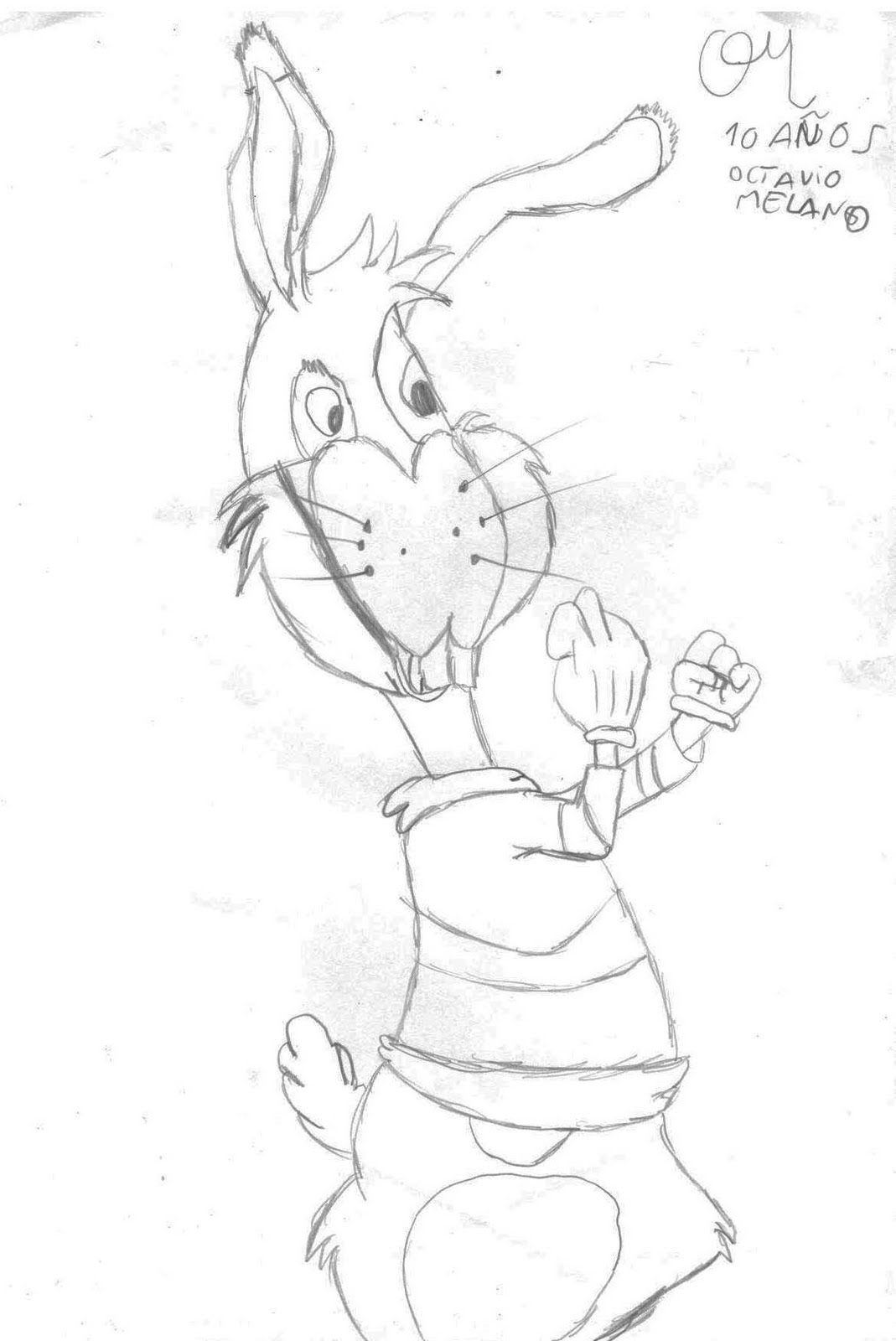 Conejos a lapiz - Imagui