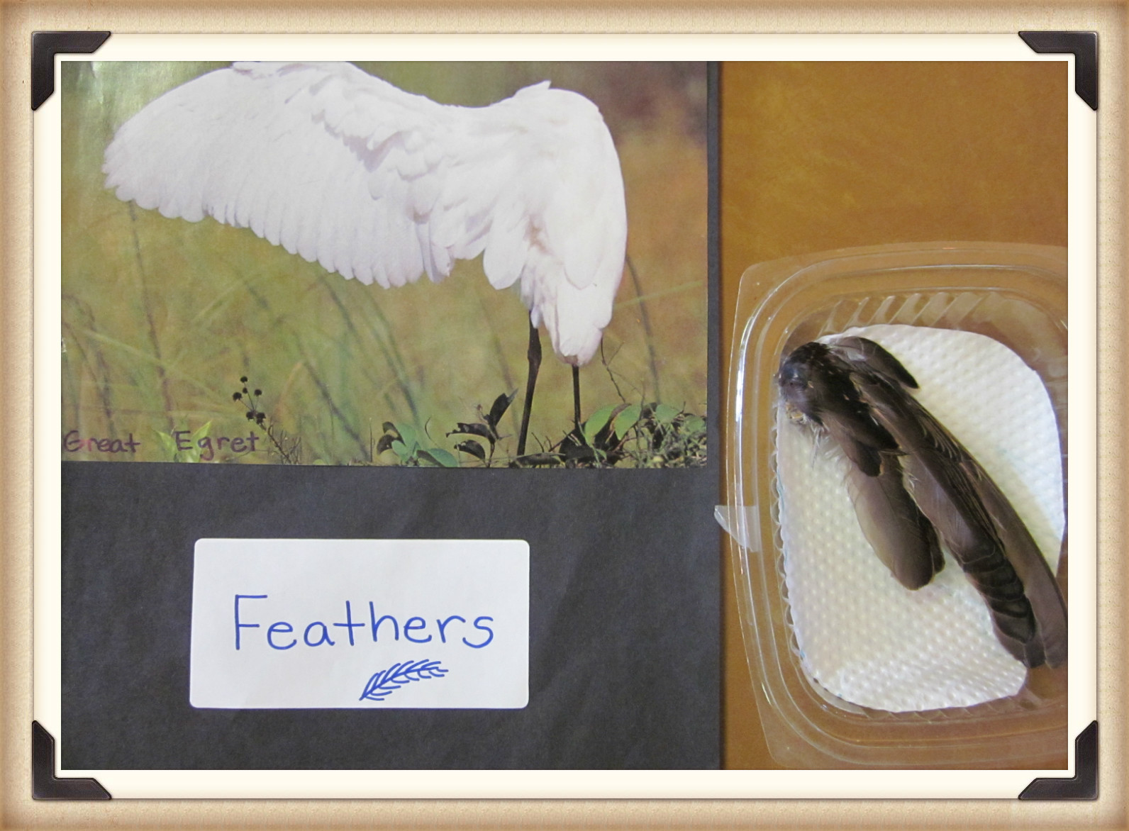 Inspired Montessori, Reggio Loose Parts, and Children's Art : Of Nests ...