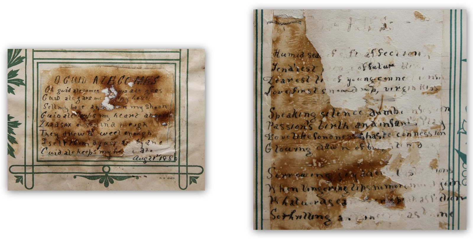 THE PIGOTT FAMILY OF QUEEN'S COUNTY, IRELAND; SOME ANCESTRAL ...