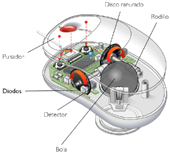 Imagenes del Mouse y sus partes - Imagui