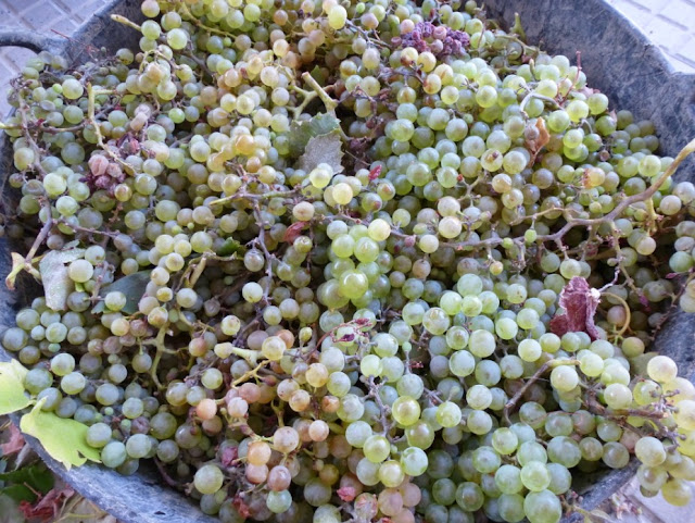 Manuel Cabello y Esperanza Izquierdo. "El blog de Ocurris". En Ubrique ...