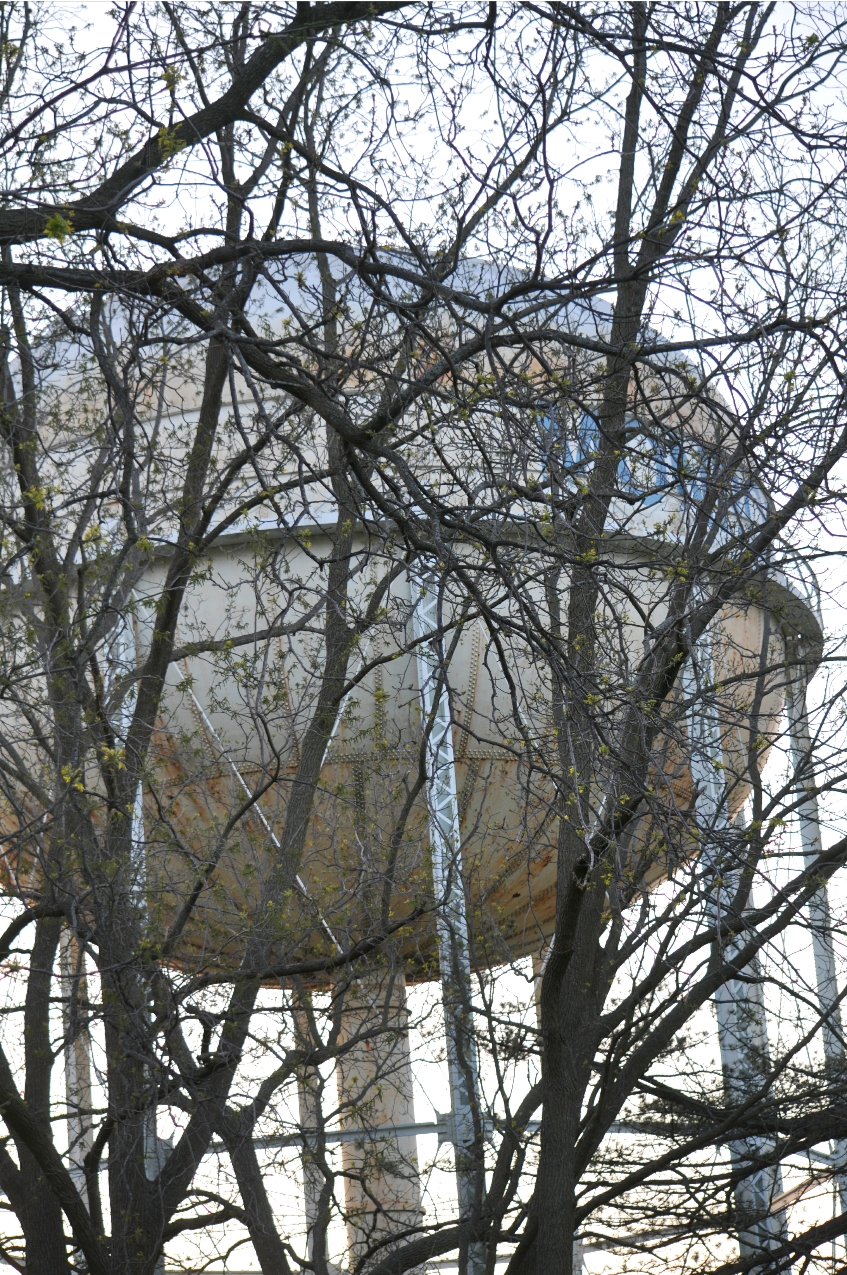 Palemaleirregulars: The Monroe Water Tower Red-tailed Hawk Pair