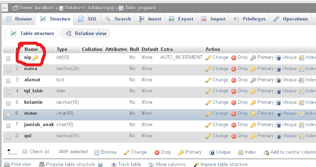 Cara Membuat Tabel di Phpmyadmin dan Mengisinya