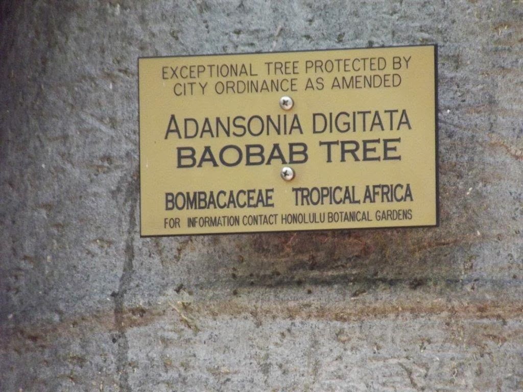 Garden Club of PEI: February 2014