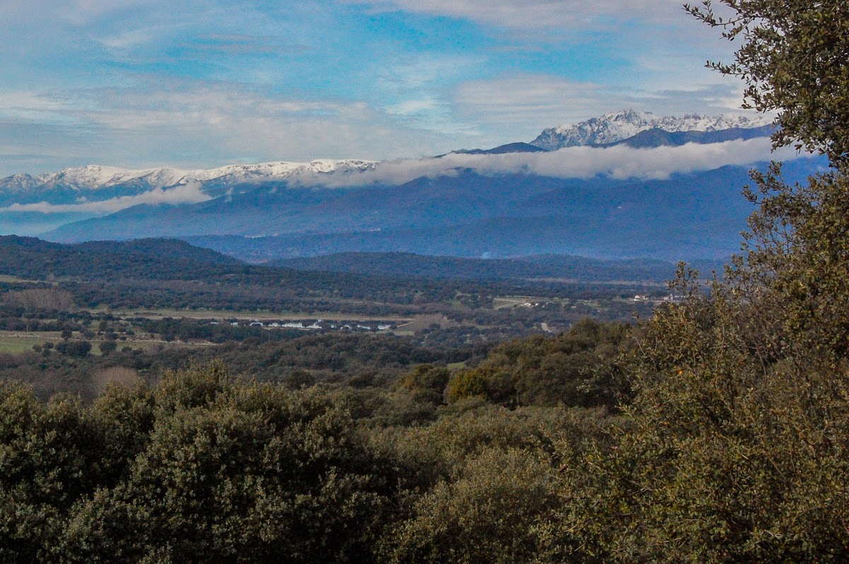 ALMANAQUE NATURAL: Los Encinares de Gredos