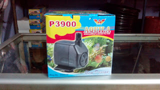 Pompa Air Aquila P 3900 ~ Aqua Panchids