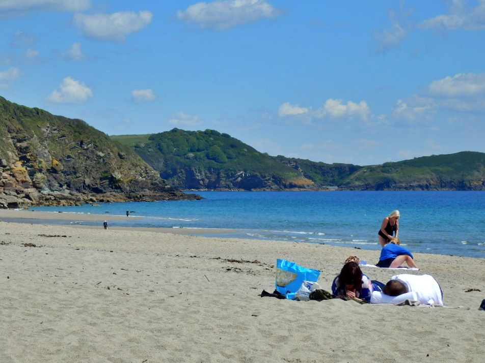 Mike's Cornwall: An Easy Walk at Pentewan, Cornwall Taking In Trees ...