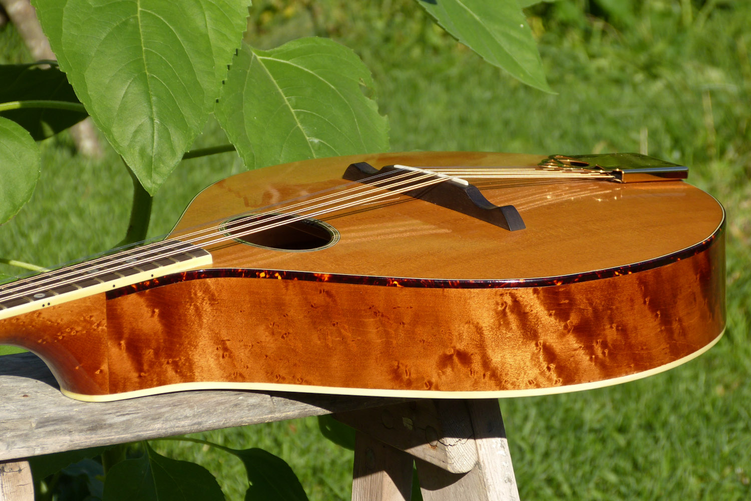 2000 Trillium Octave Mandolin