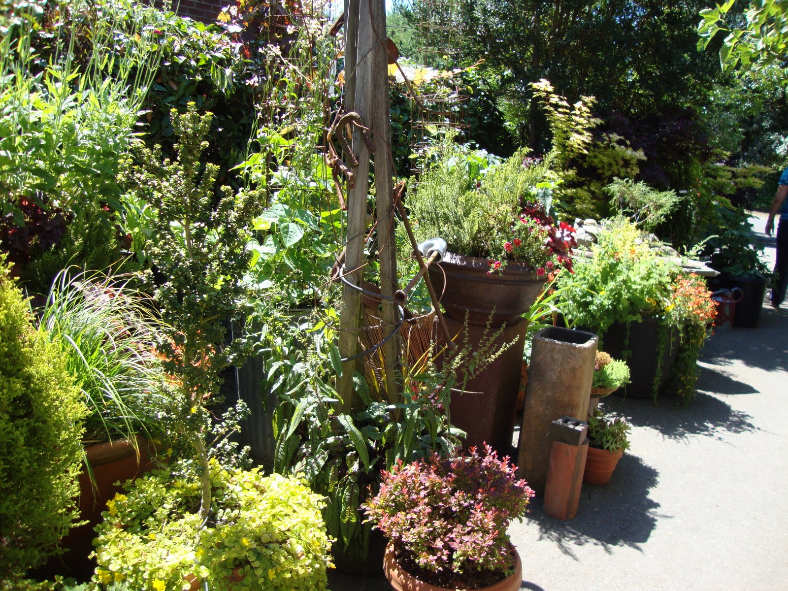 danger garden: The garden of Kate Farley