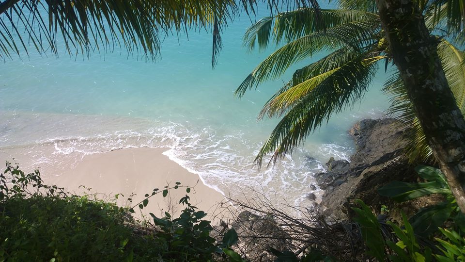 Desarrollo geográfico en Panamá: Un nuevo lugar para conocer, Tobobe ...