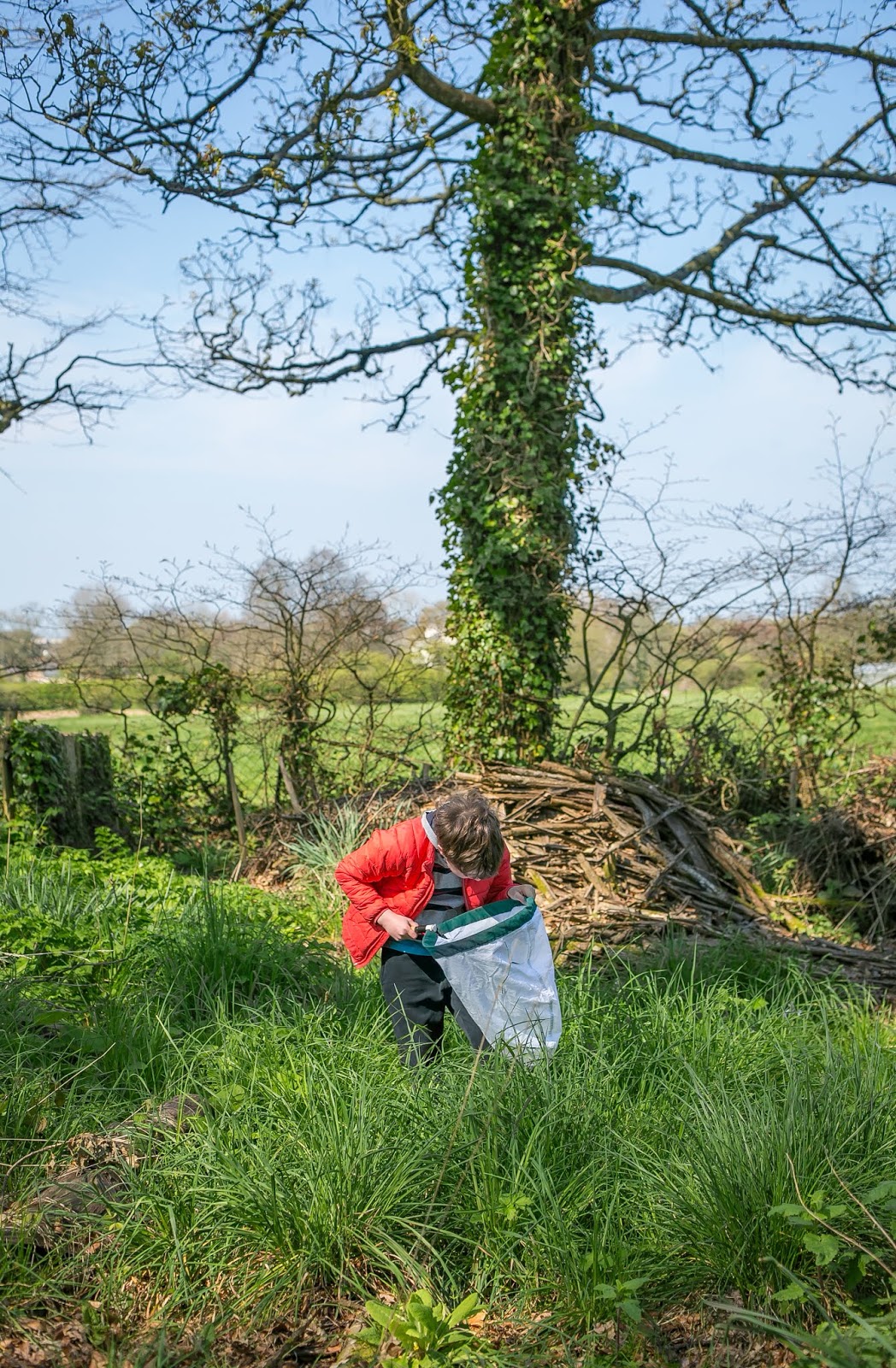 The heritage year: 2019