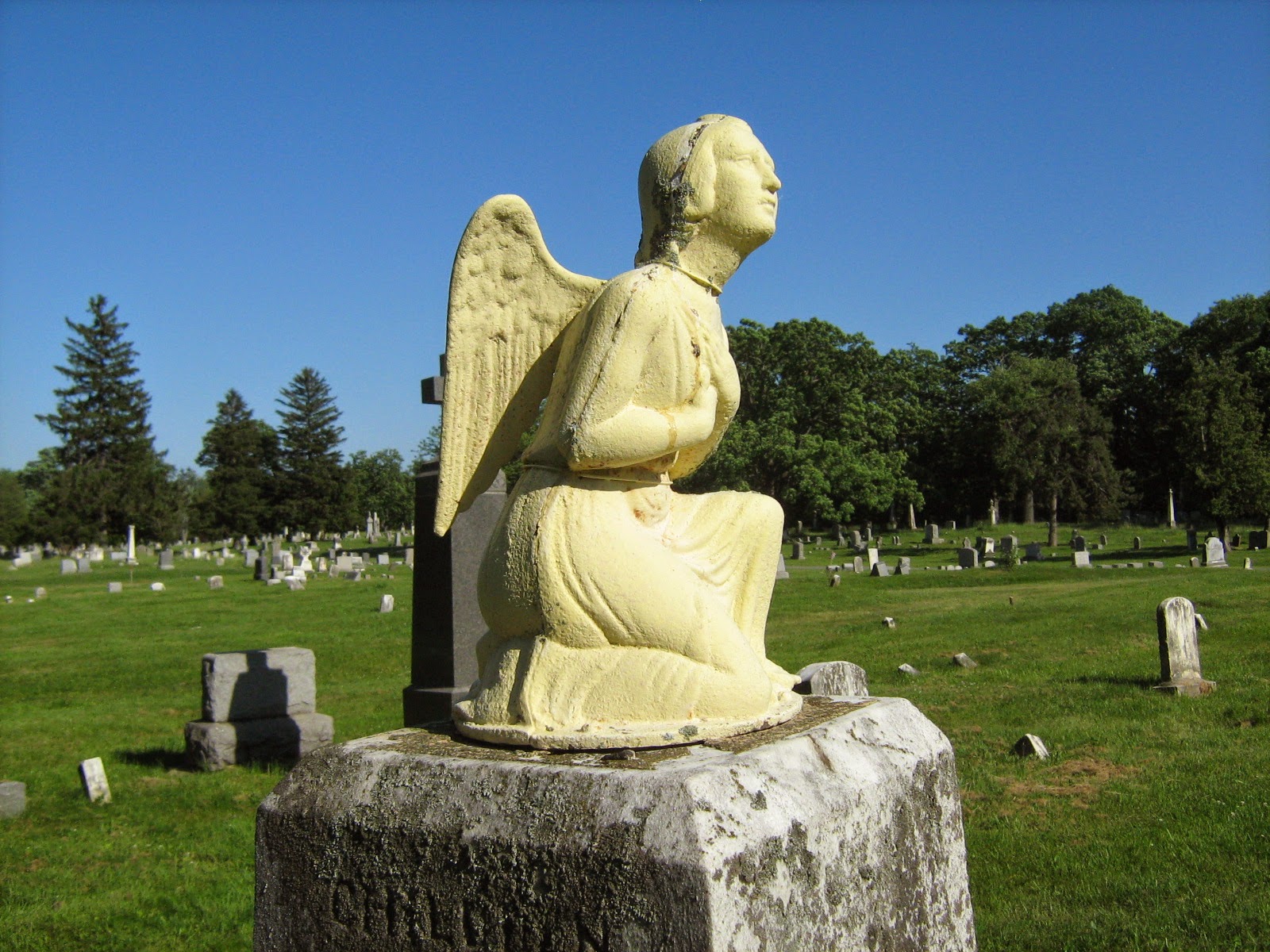 Albany Rural Cemetery - Beyond The Graves: The Children of Henry ...