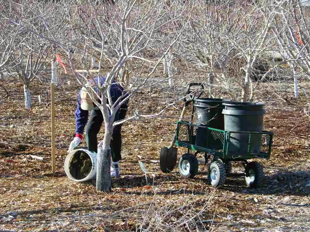 Xtremehorticulture of the Desert: Granular Fertilizer, Fertilizer ...