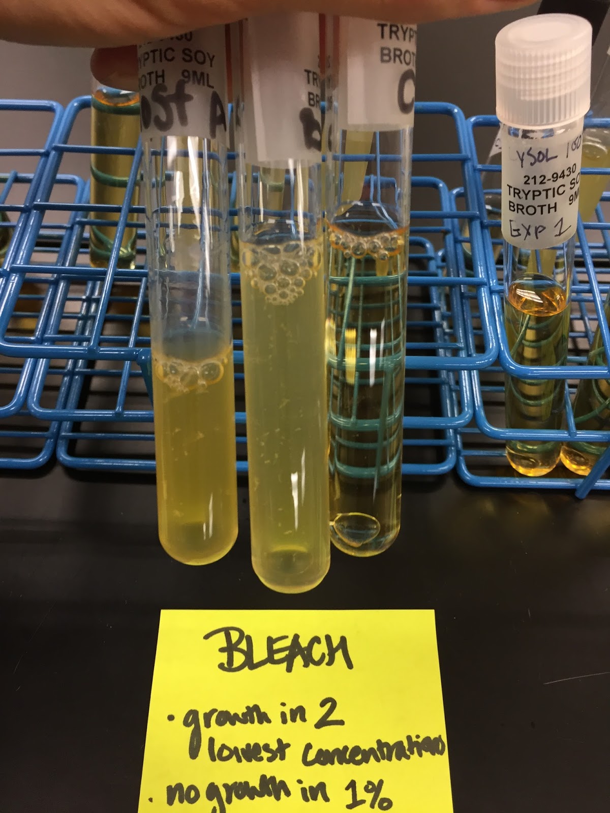 Theory & Practice: from Lab to Lifestyle: Testing Germicides ...