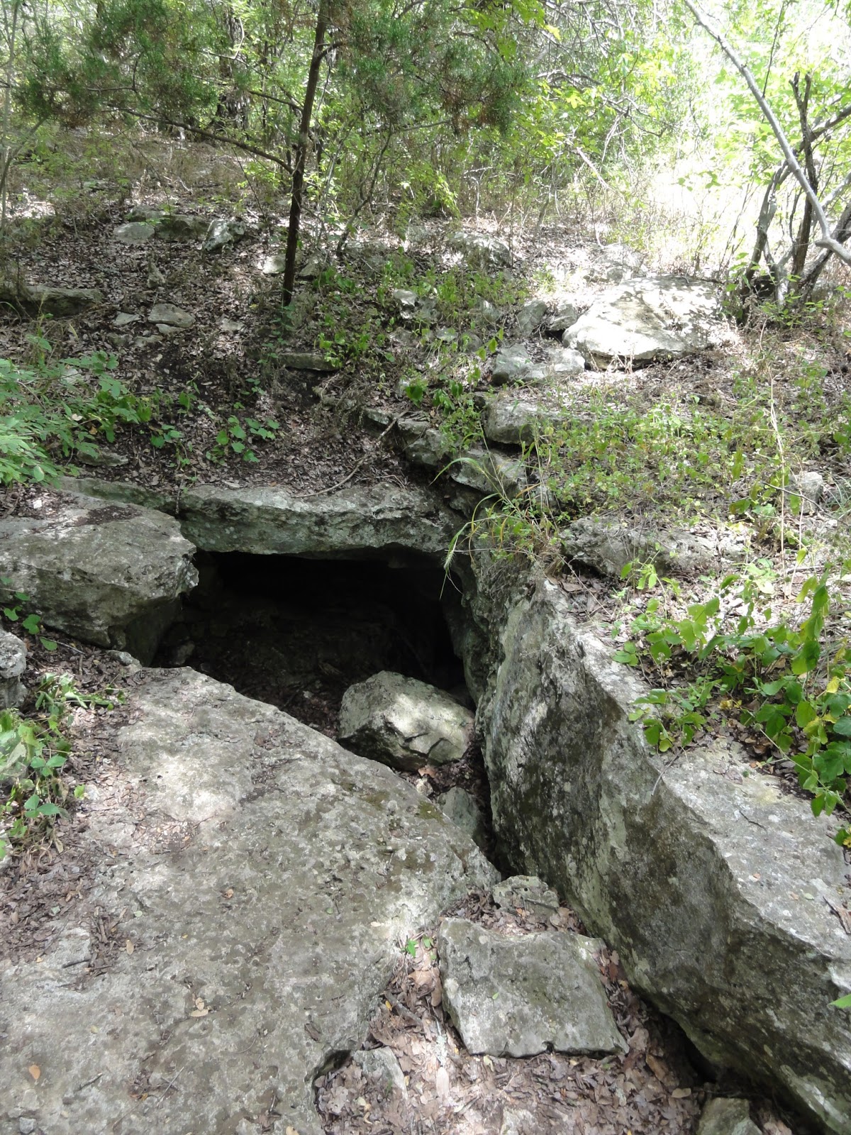 Austin Top 50 Fun in the Sun: Goat Cave Karst Preserve