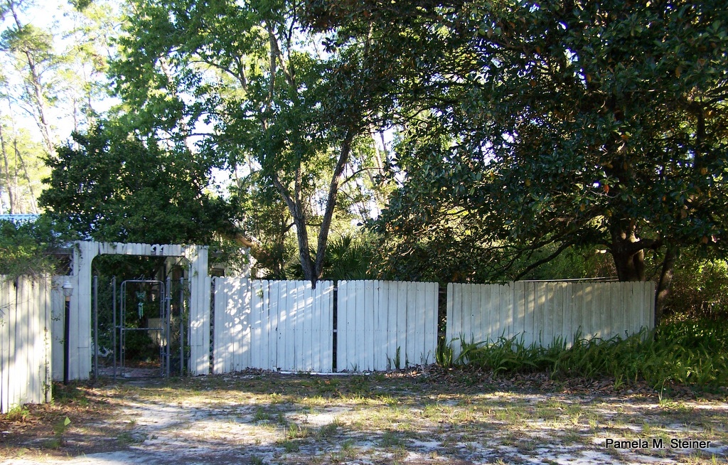 Closed Doors, Open Windows: Our Fixer Upper-Fence Project Continued