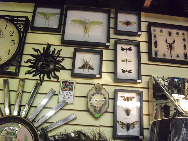 A Real Menagerie: The Bug Store