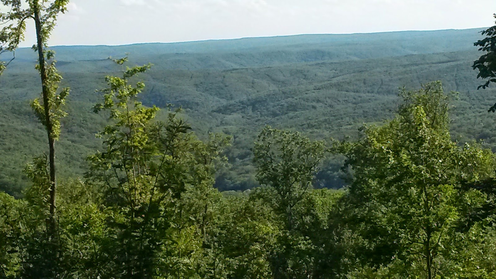 SERGEN BAL DÜNYASI: SERGEN BAL DÜNYASI