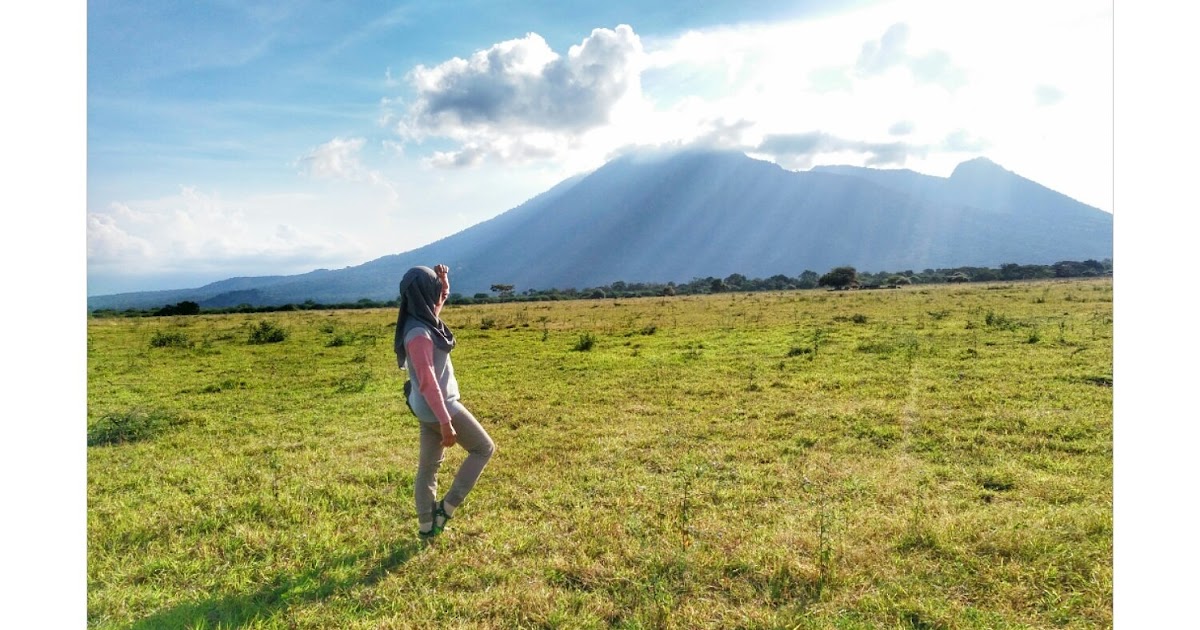 May Qolbi: Taman Nasional Baluran Africa Van Java