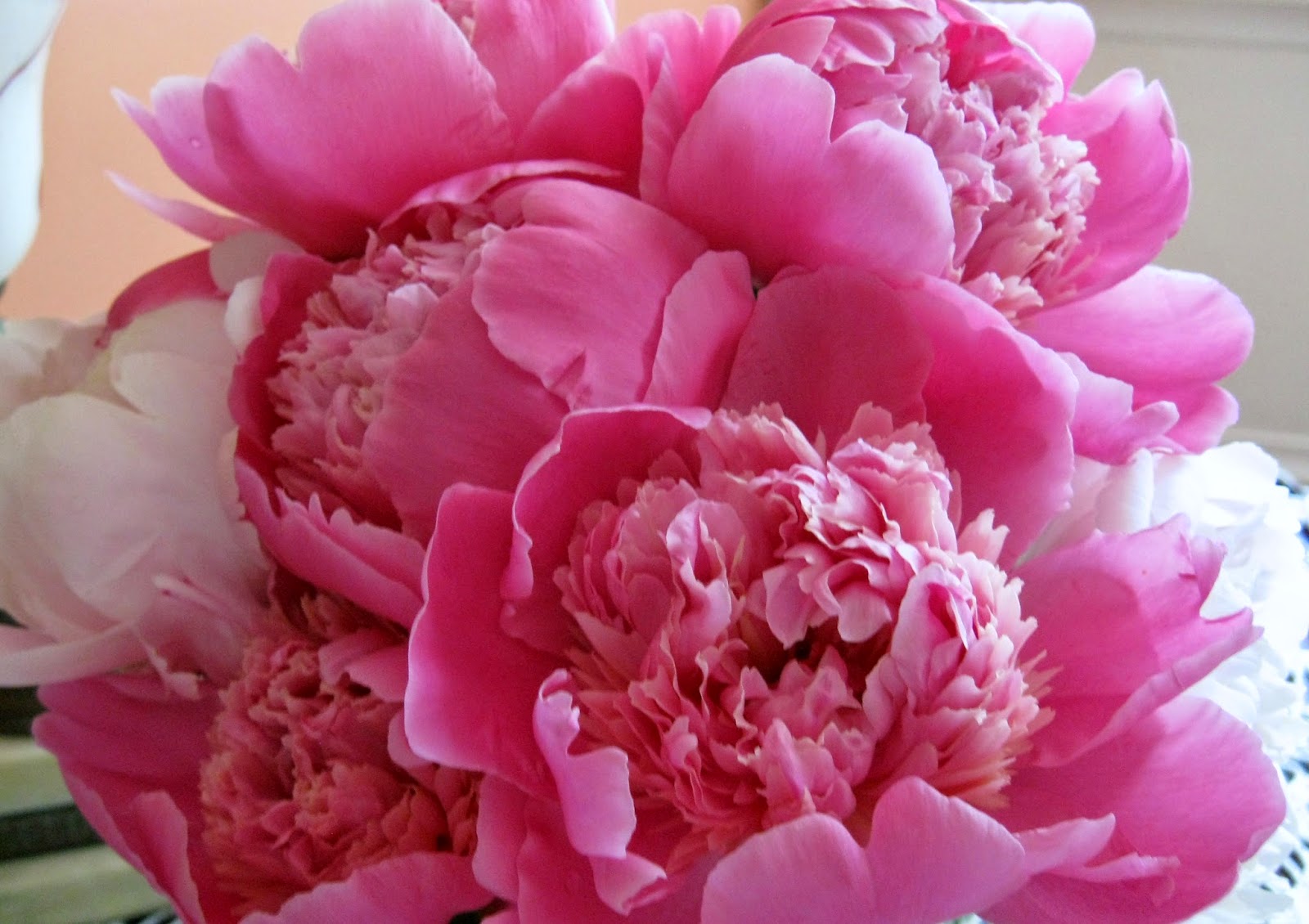 Pink Peonies