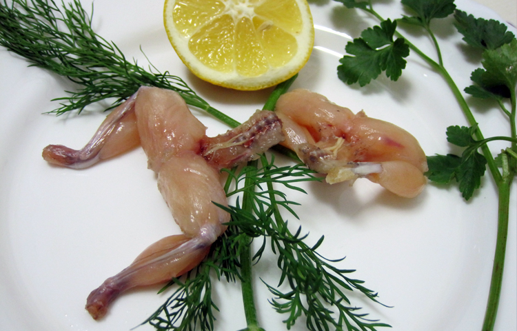 Froschschenkel - Rezepte Suchen