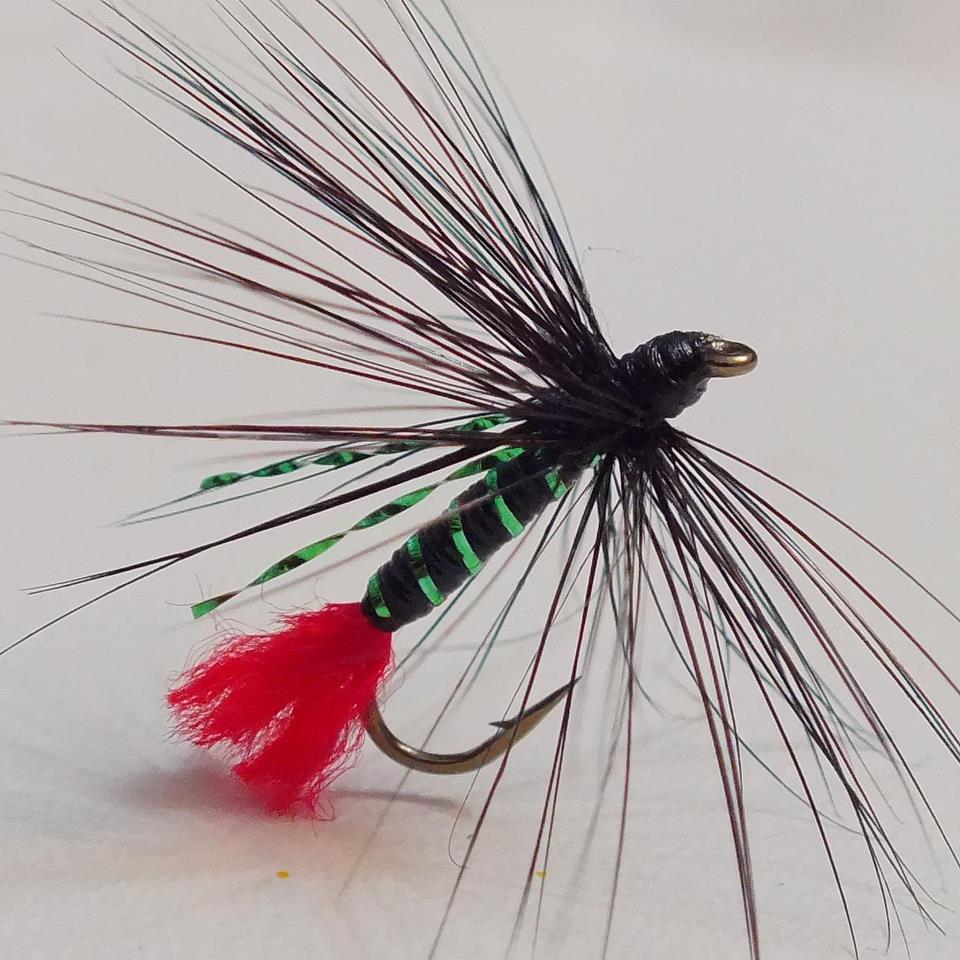 Pescuit cu musca artificiala: Taparina CLEAN