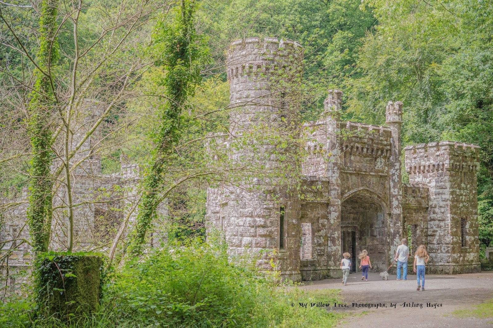 Ballysaggartmore Towers