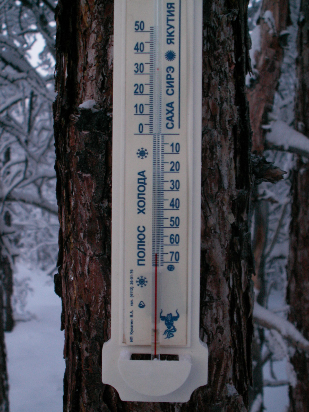 kimera: Zyryanka, Rusia.