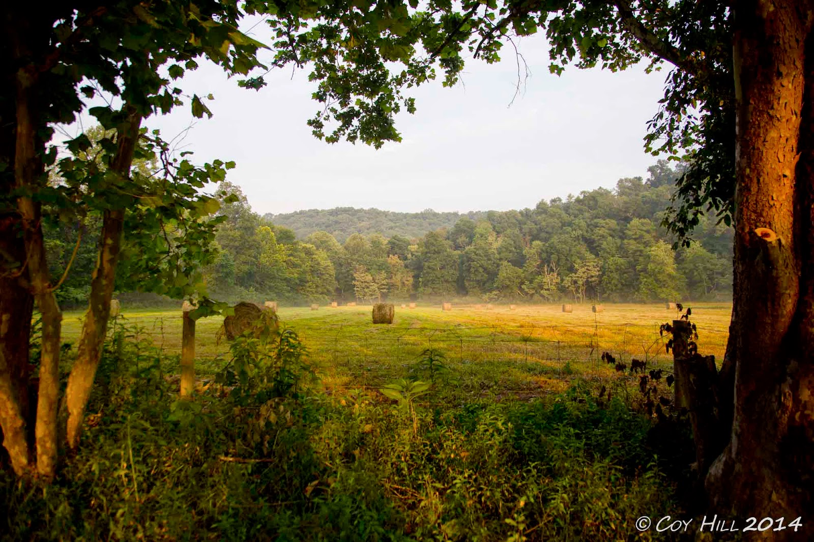 Country Captures: Summer Scenes