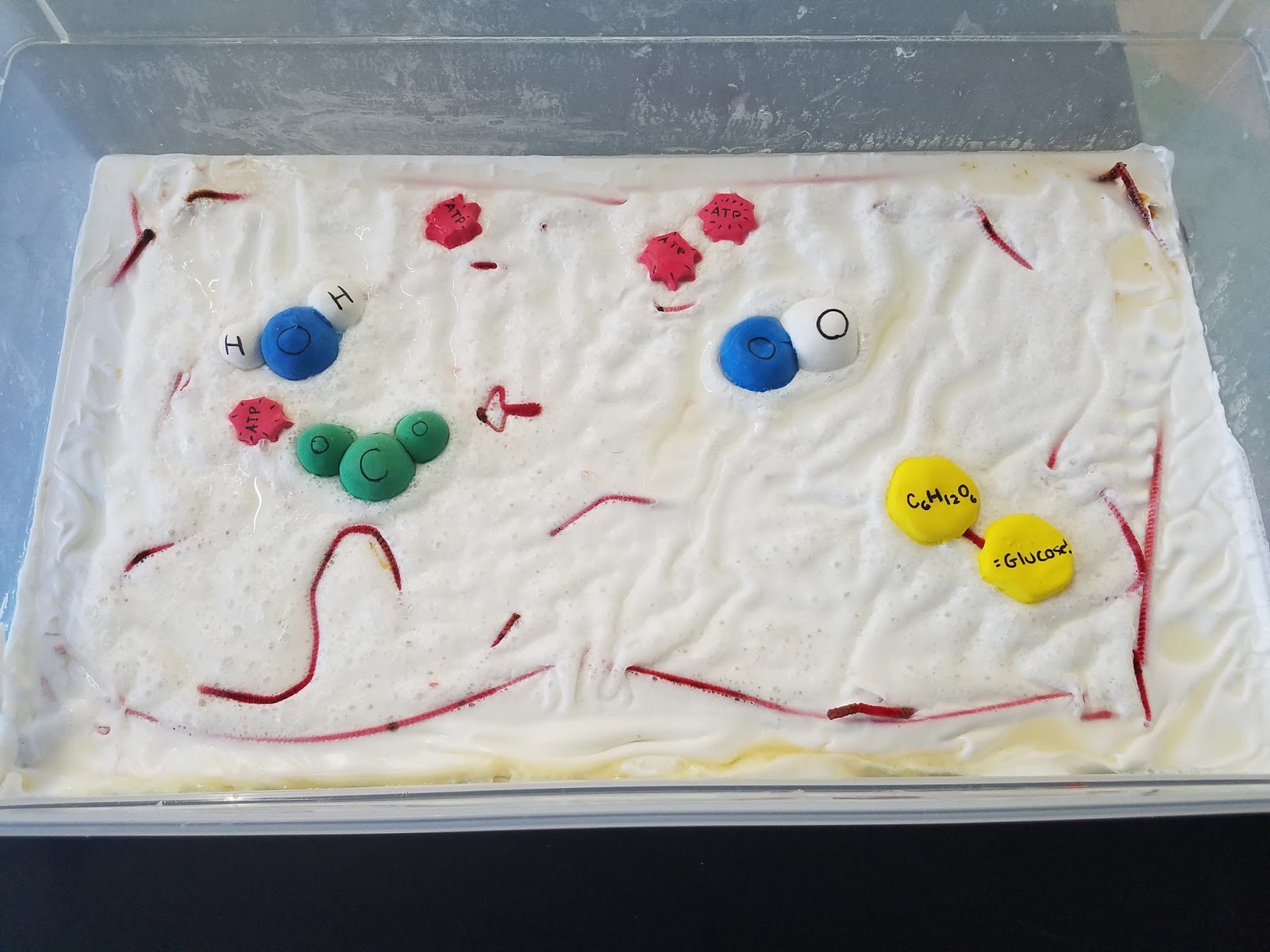 Science Time At Visitation Academy: Cell Processes with 7th Grade