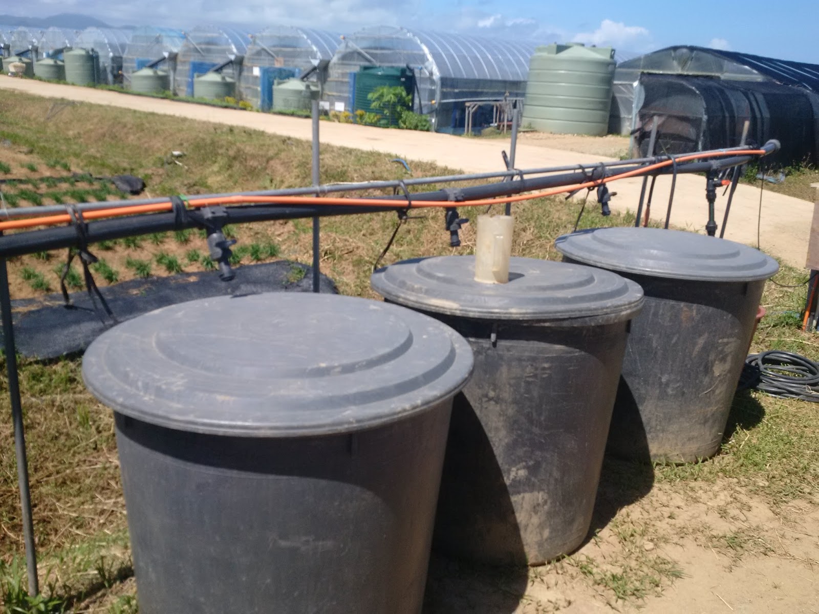 GRACE ROAD Organic Farm | AGRONET FIJI