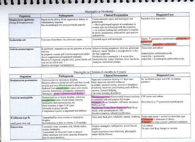 The Complete Guide on How To Study Microbiology in Med School