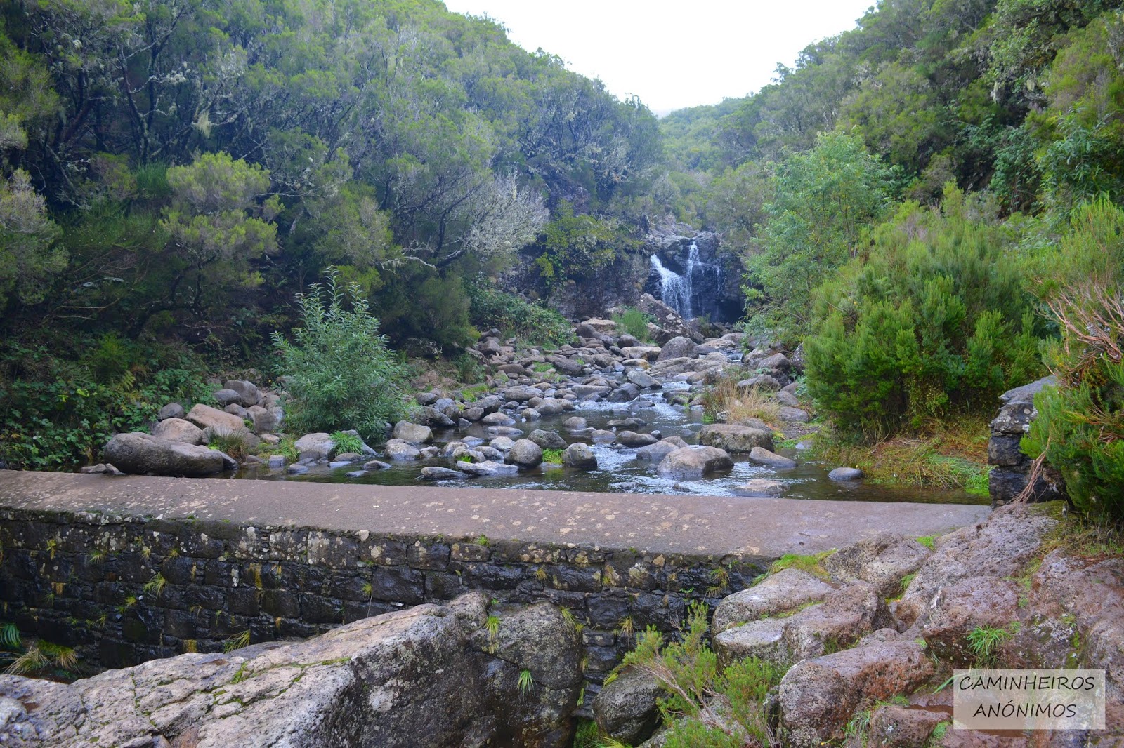 Caminheiros Anónimos Levadas da Madeira : Levada Grande do Paul (Calheta)