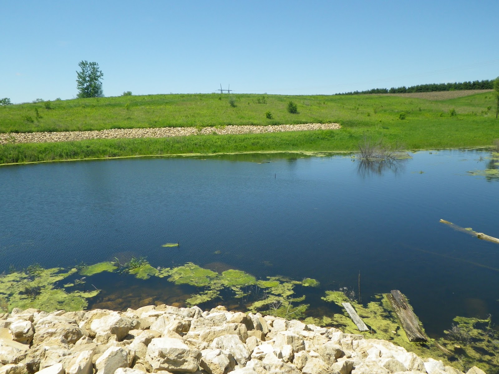 The Lost Grove Lake Mapping Project: It's Getting Closer To Full